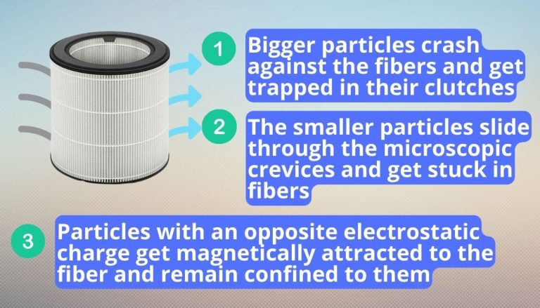 What Is an H13 HEPA Filter? Can It Trap Dangerous Viruses?